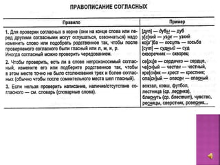 Akr 6 класс | PPTX