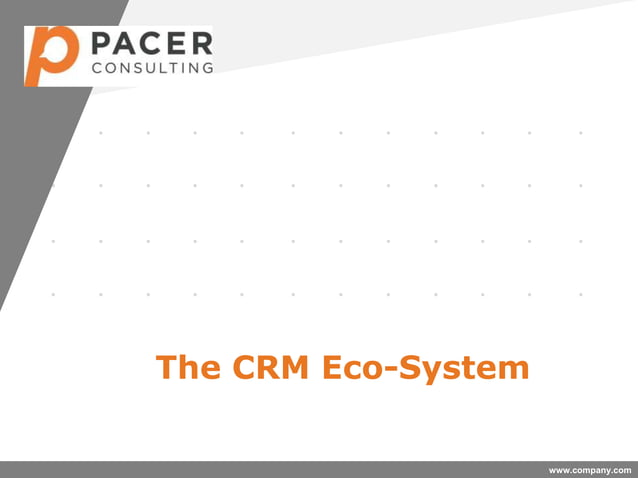 The CRM Eco-System | PPT