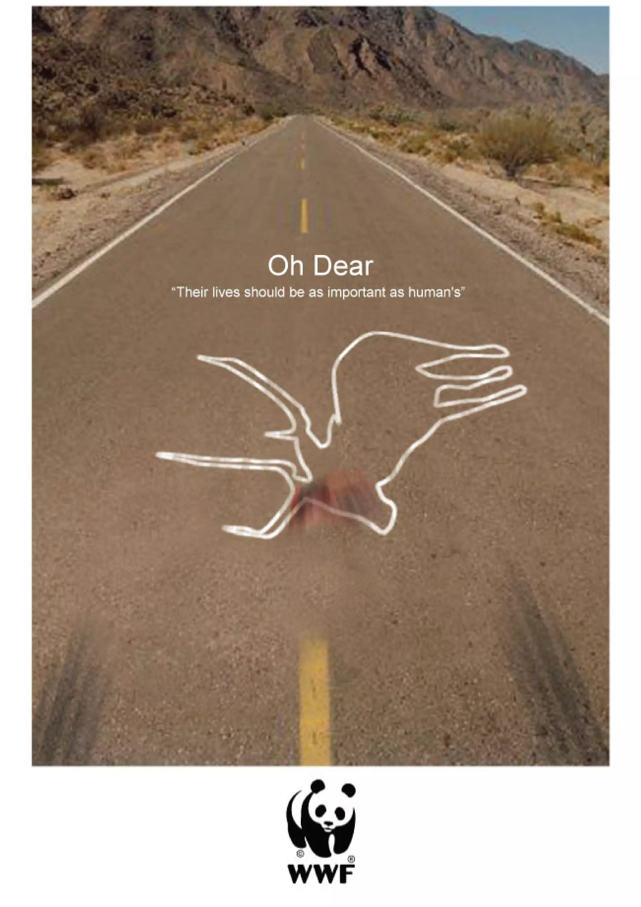 Akram cv with portfolio | PDF