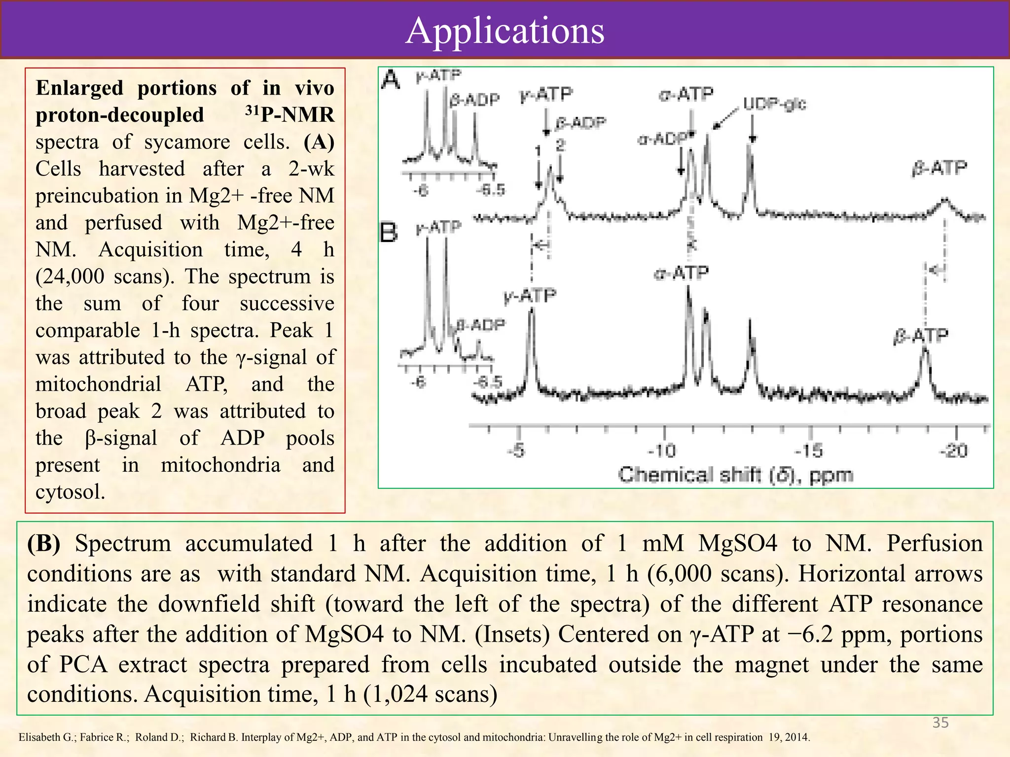 31-P NMR SPECTROSCOPY | PDF