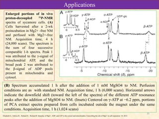 31-P NMR SPECTROSCOPY | PDF