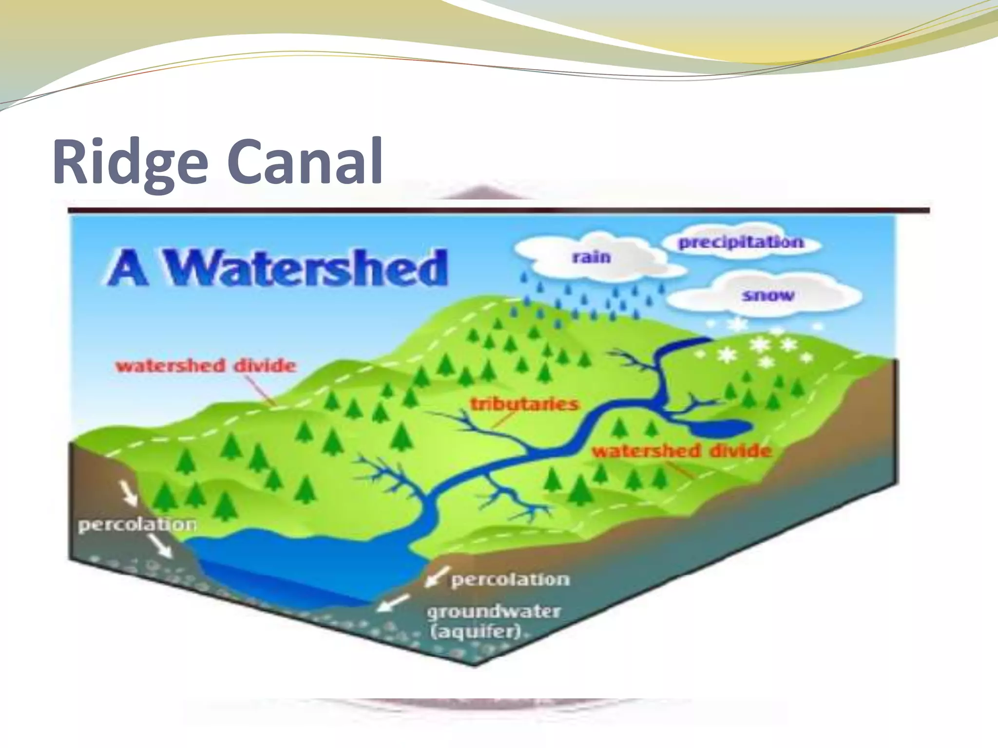 types of canal | PPTX