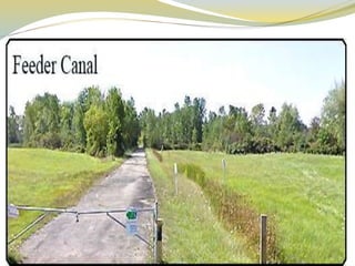 types of canal | PPTX