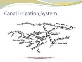 types of canal | PPTX