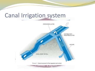 types of canal | PPTX