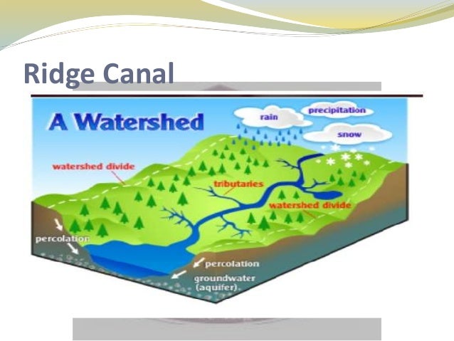types of canal