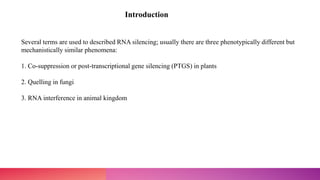 RNA interference & its application | PPTX