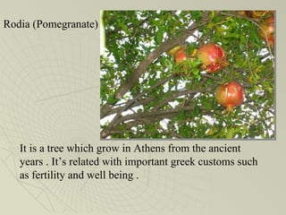 The fauna and flora on Akropolis of Athens | PPT