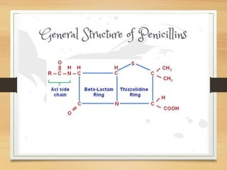 Penicillin Production | PPTX