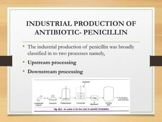 Penicillin Production | PPTX
