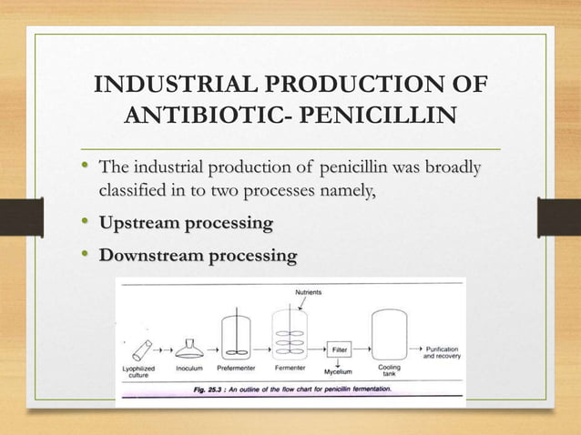 Penicillin Production | PPTX | Infectious Diseases | Diseases and ...