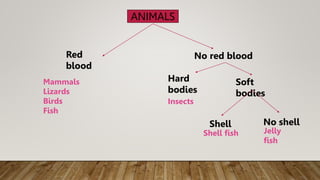 Aristotle- Life and Contributions presentation.pptx