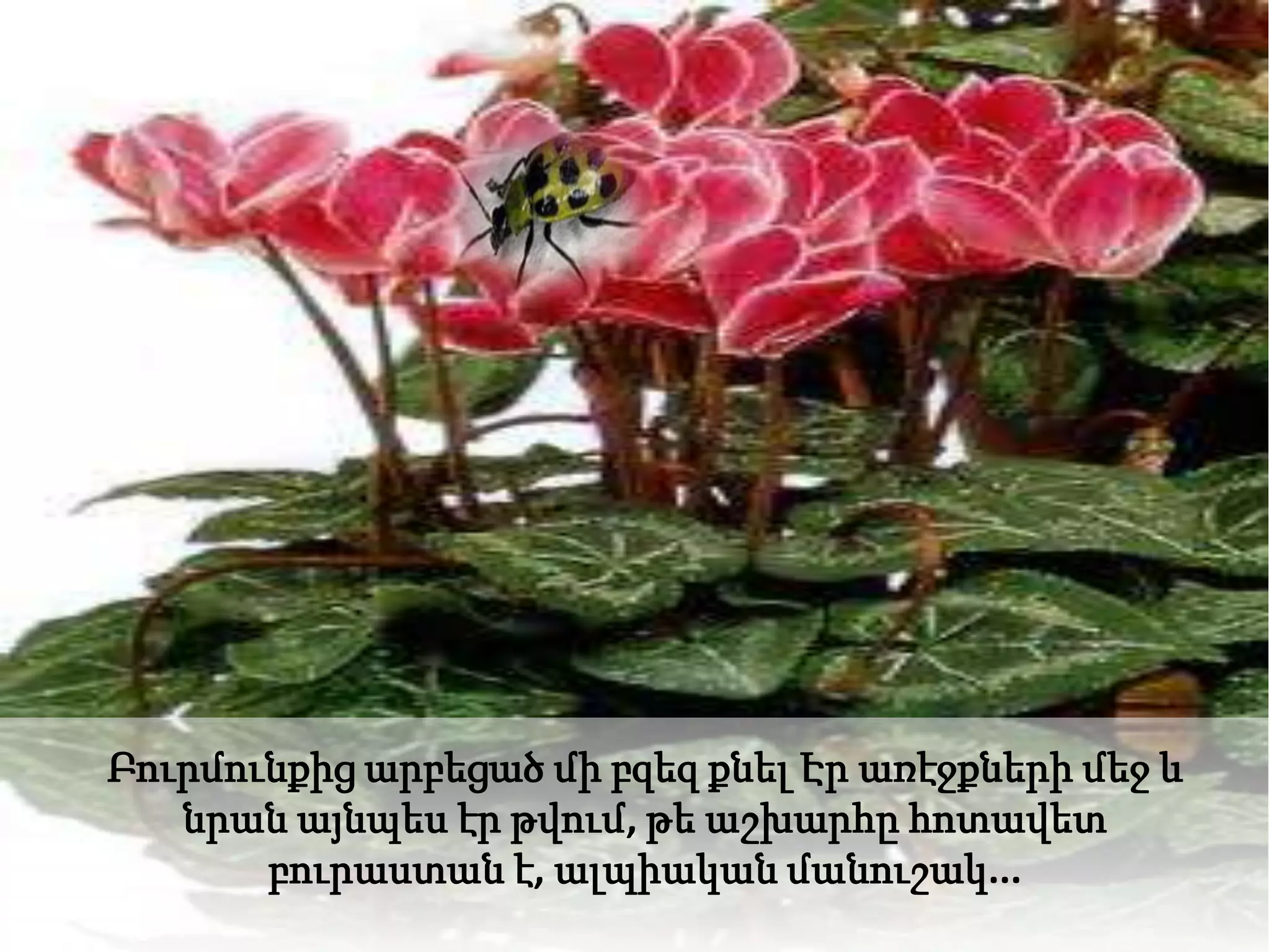 Aksel Bakunc 27.06.13
