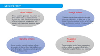 PROTIEN PPT.pptx