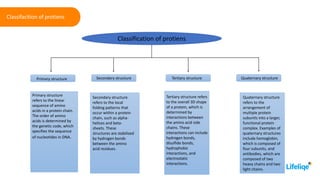 PROTIEN PPT.pptx