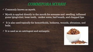 herbals in dentistry | PPTX
