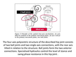 HIP DISARTICULATION | PPTX