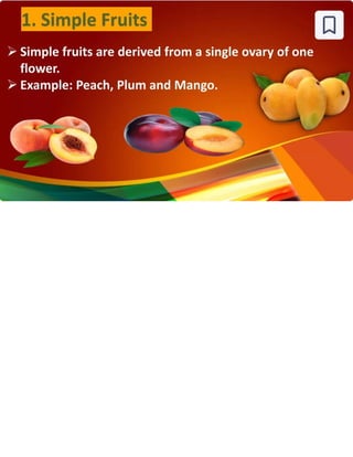 Classification and Nurtitional Value of Fruit Crops | PDF