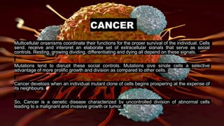DEVELPOMENT AND CAUSES OF CANCER | PPTX