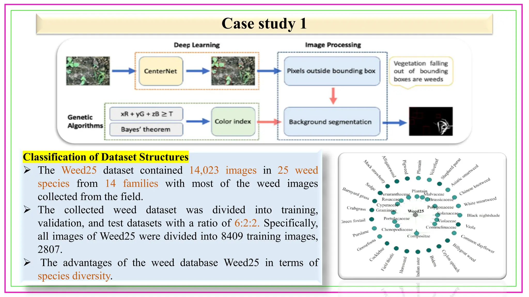 Weed Detection Using Deep Learning and Laser Weed Control | PDF