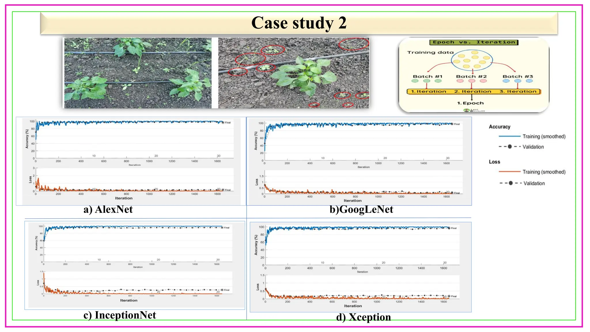 Weed Detection Using Deep Learning and Laser Weed Control | PDF