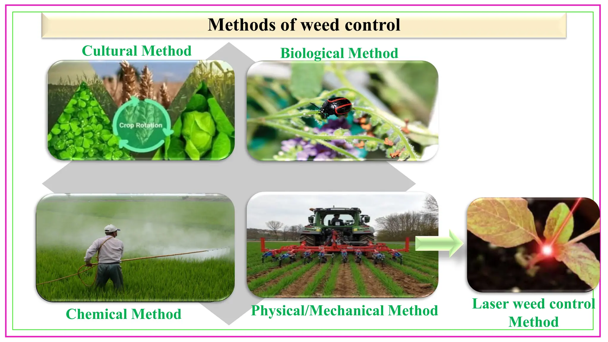 Weed Detection Using Deep Learning And Laser Weed Control Pdf