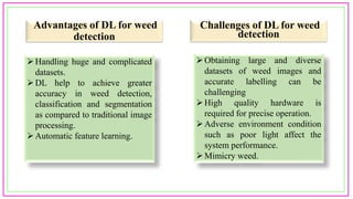 Weed Detection Using Deep Learning and Laser Weed Control | PDF