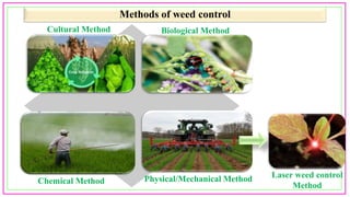 Weed Detection Using Deep Learning and Laser Weed Control | PDF