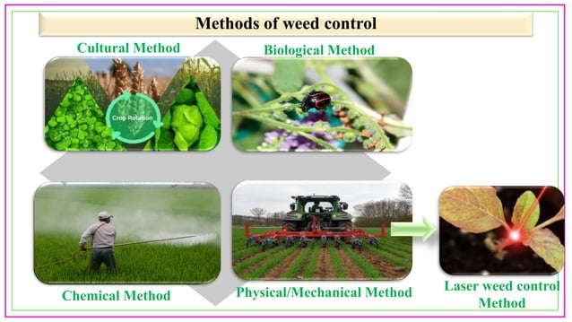Weed Detection Using Deep Learning and Laser Weed Control | PDF ...