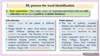 Weed Detection Using Deep Learning and Laser Weed Control | PDF