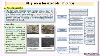 Weed Detection Using Deep Learning and Laser Weed Control | PDF