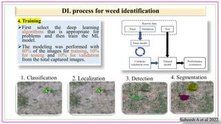 Weed Detection Using Deep Learning and Laser Weed Control | PDF