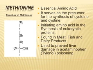 Biosynthesis of Sulphur Containing amino acid. | PPTX