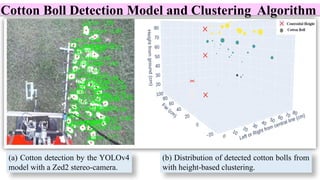 Robotic Cotton Picker, Machines for cotton harvesting | PPTX