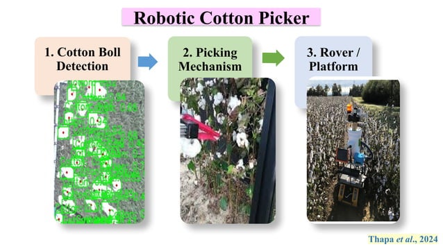 Robotic Cotton Picker, Machines for cotton harvesting | PPTX ...