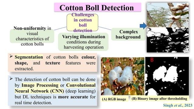 Robotic Cotton Picker, Machines for cotton harvesting | PPTX ...
