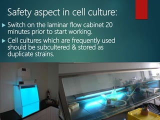 Aseptic Techniques and sterile handling in atc lab | PPTX