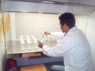 Aseptic Techniques and sterile handling in atc lab | PPTX