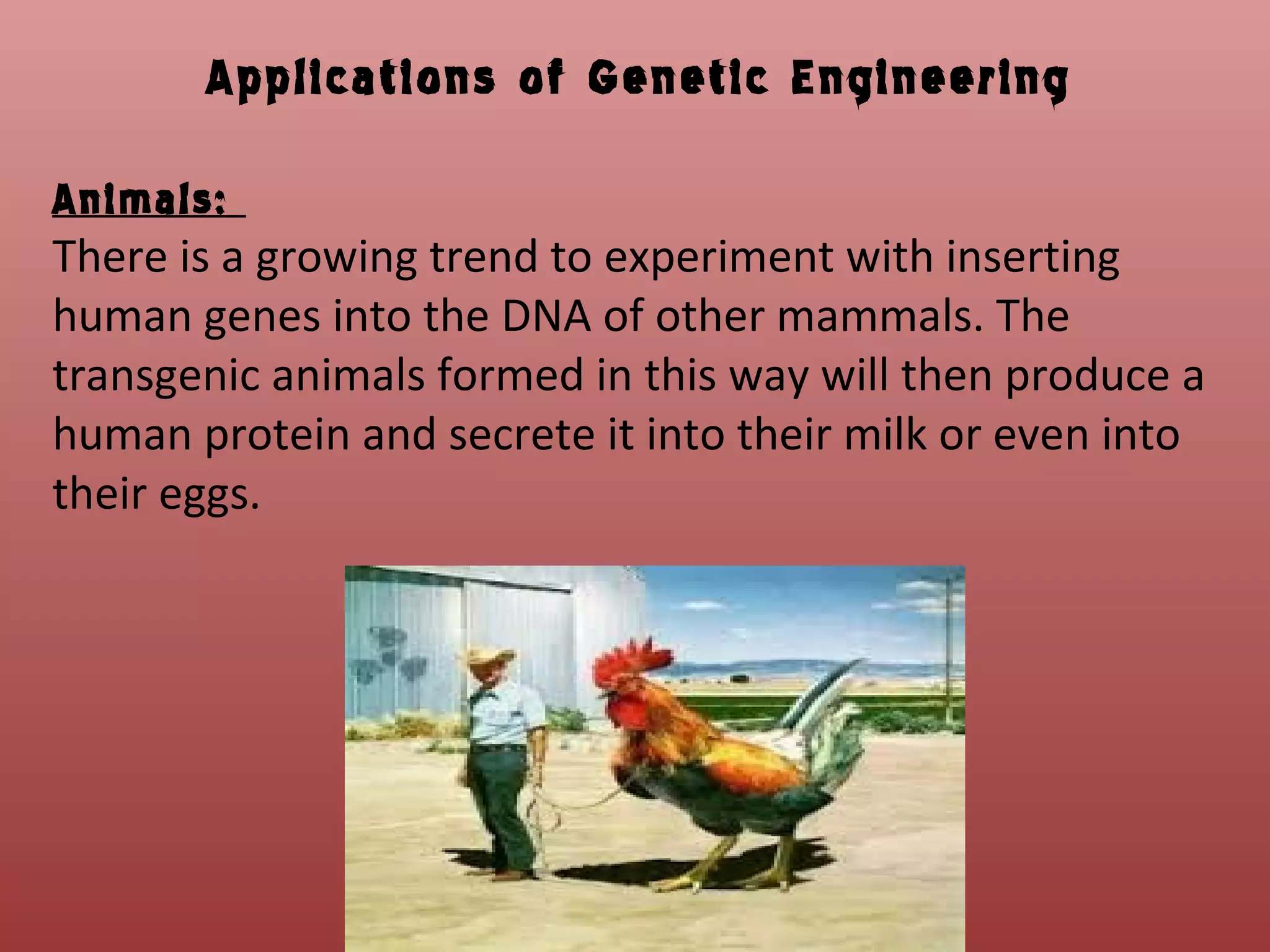 Genetic-engineering | PPT