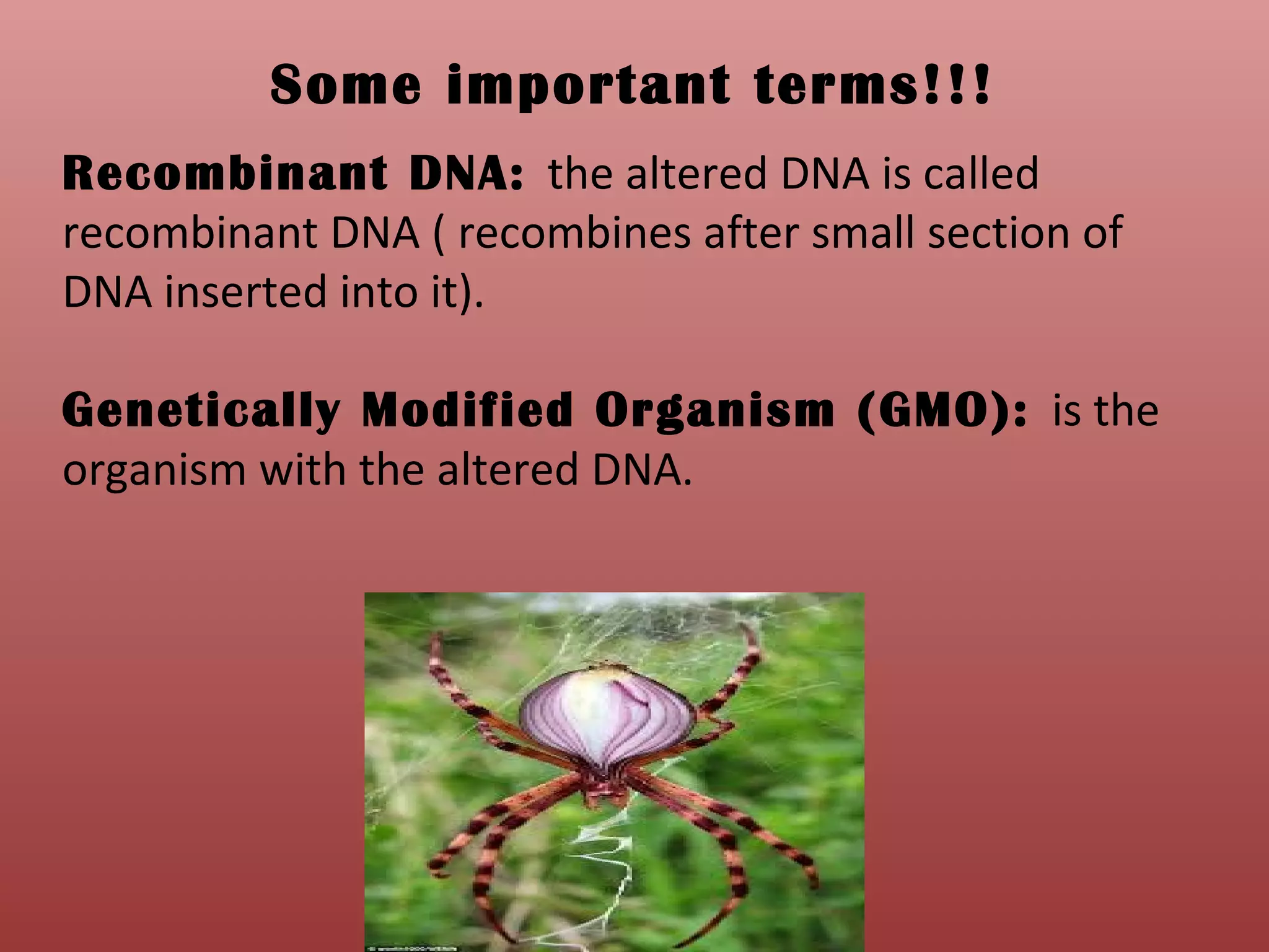 Genetic-engineering | PPT