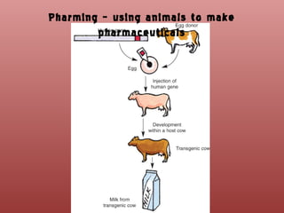 Genetic-engineering | PPT