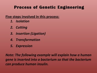 Genetic Engineering Steps