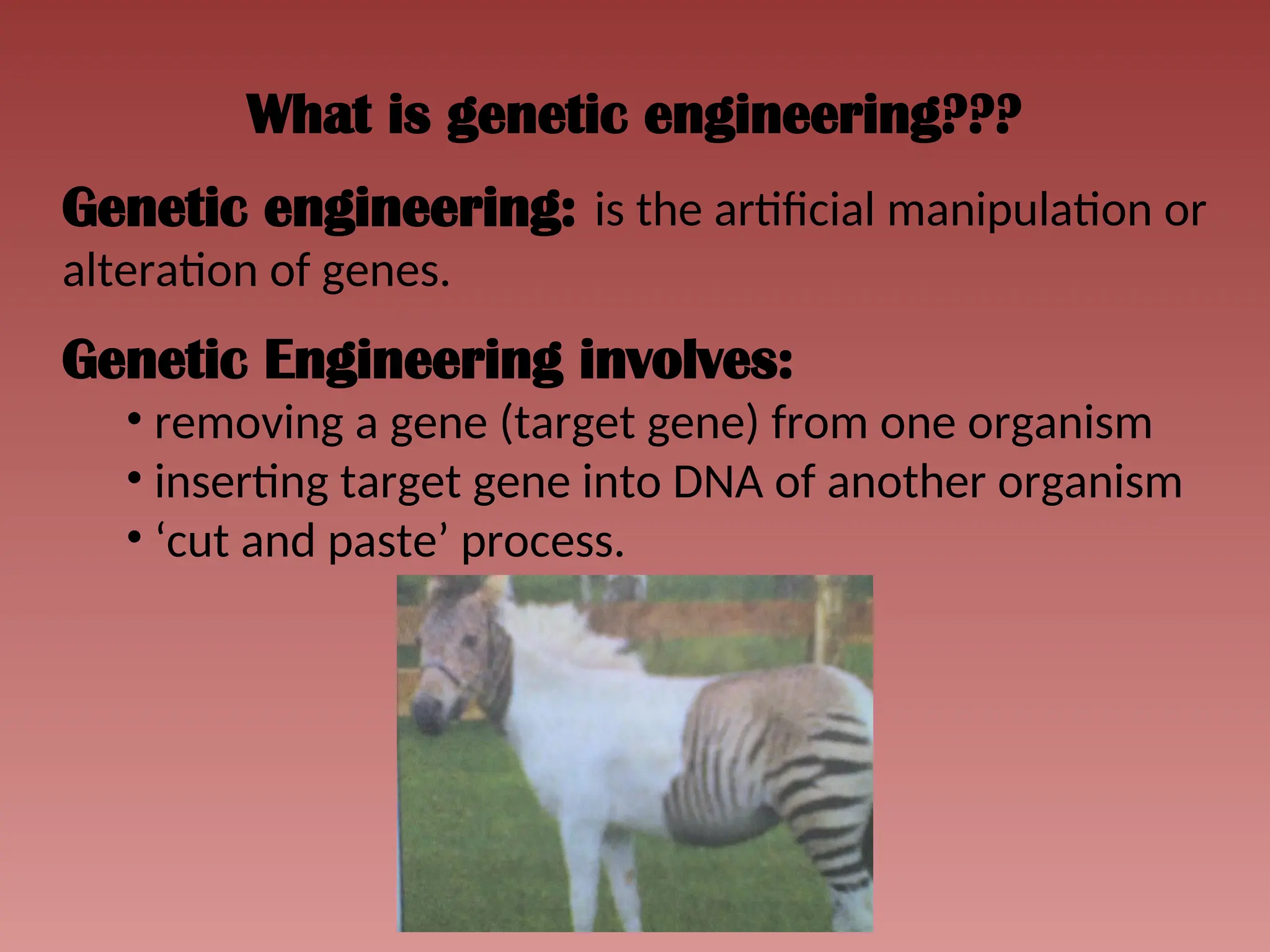 akshdeepppt-genetic-engineering-170320072747 (1).ppt
