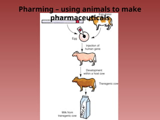 akshdeepppt-genetic-engineering-170320072747 (1).ppt
