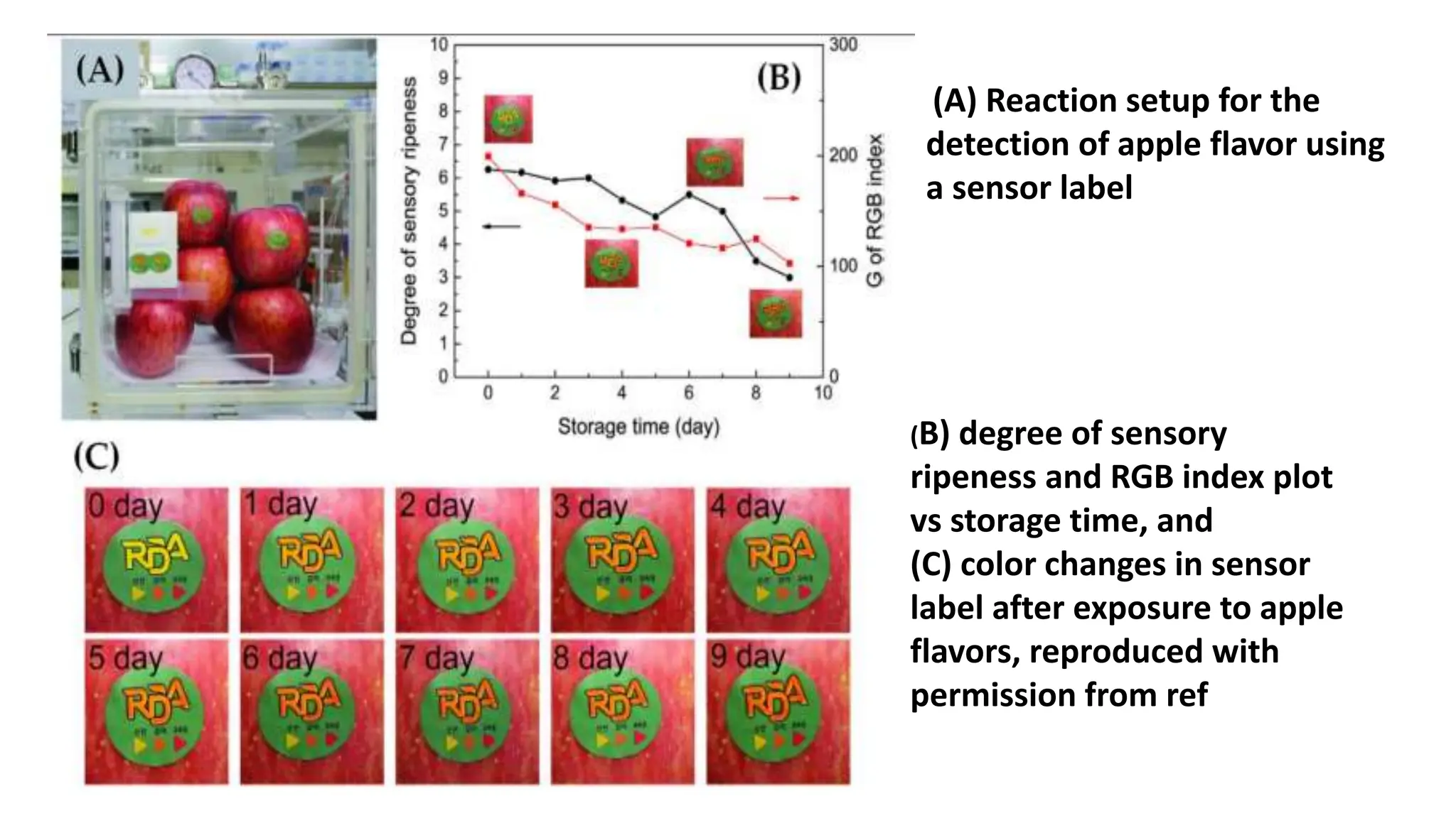 use of AI in post harvest storage of fruit crops.pptx