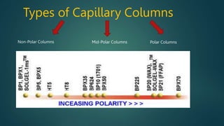 AKSHITA SHARMA PPT VLPL ABCDEFGHIJK.pptx