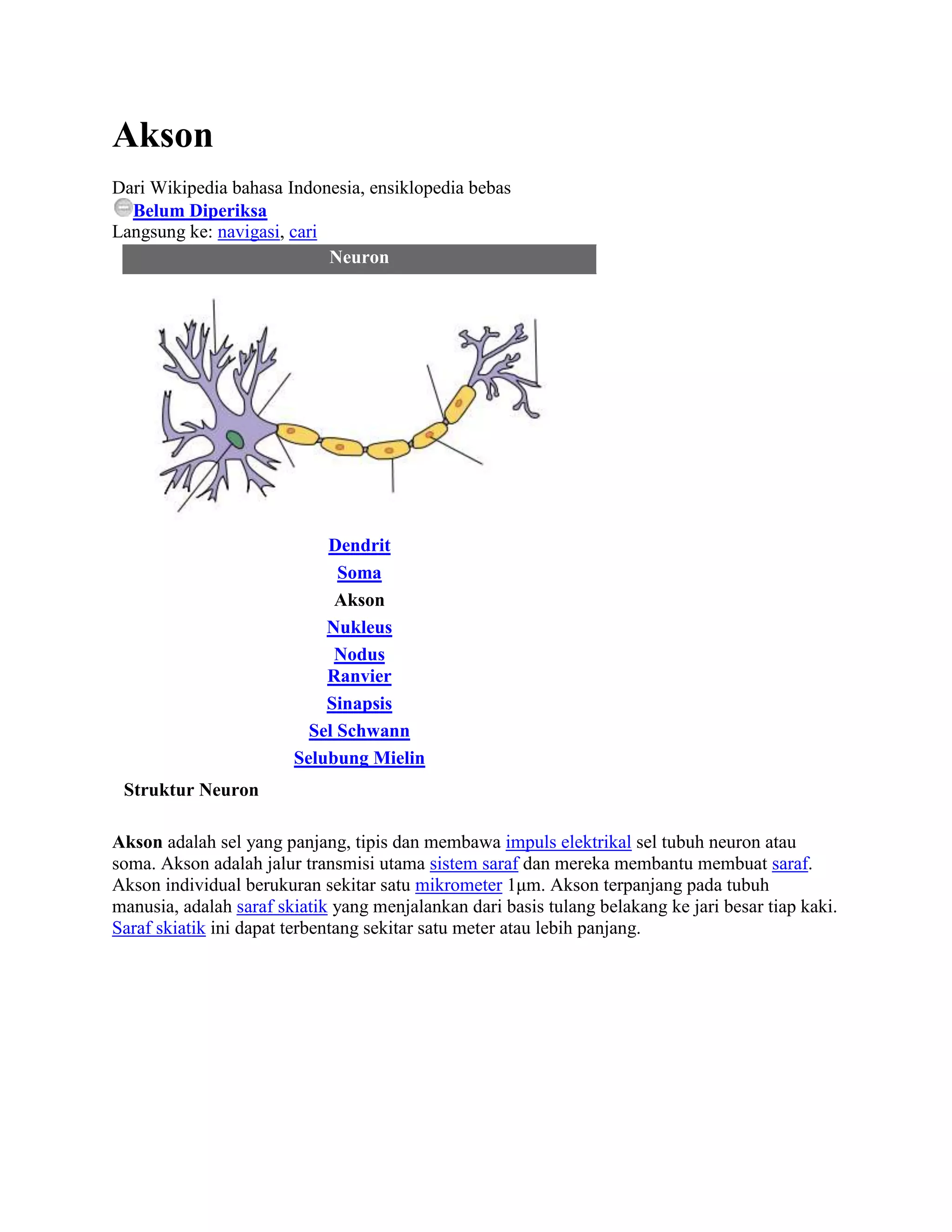 Akson dokument | PDF