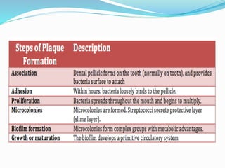 Dental plaque formation and composition.pptx