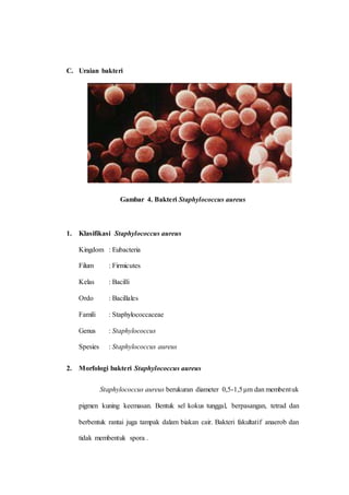 Aktivitas tanaman sebagai antibakteri | PDF