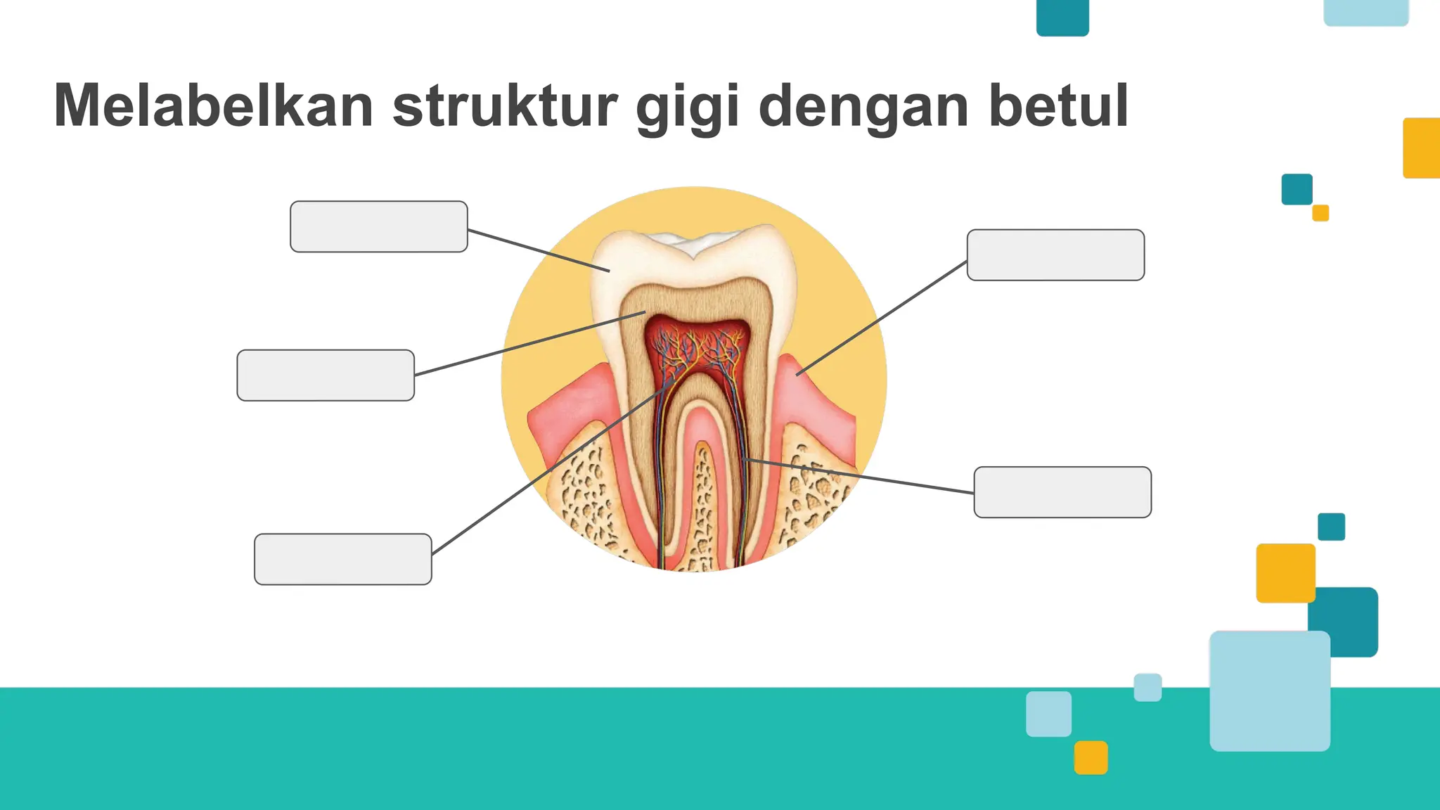 Aktiviti TMK SAINS TAHAP 1 SK DAN SKJ.pptx